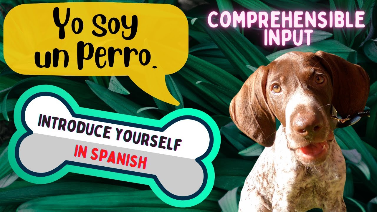 Spanish with the Dog – Teacher Catalina