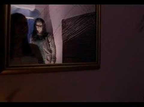 About The Little School Tales of Disappearance and Survival | lamelycatcher