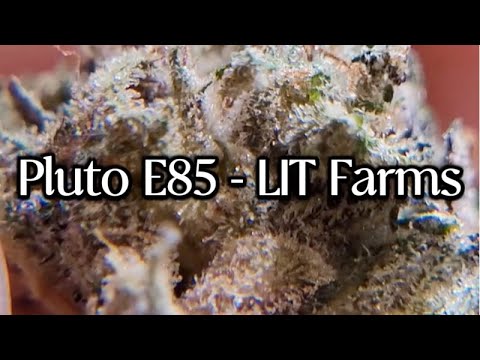 Pluto E85 – LIT Farms THCa Flower Review – The Highest Club