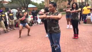 MIGHTY MU NU chapter of Delta Sigma Theta Sorority, Inc. QueDelta2015 Yard Show