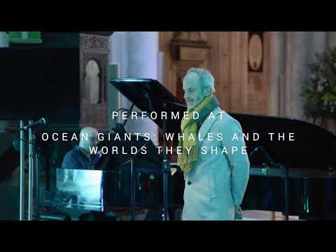 Entail Video | Benjamin Oliver