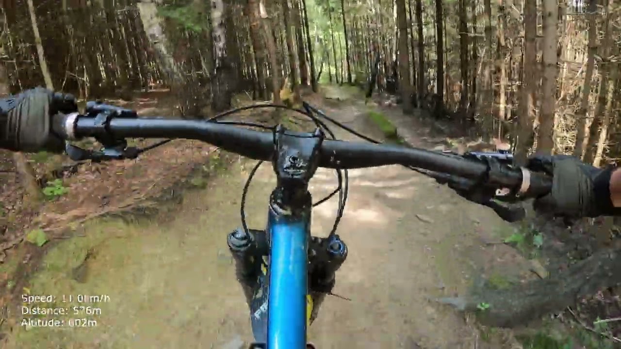 Skolnity Bike Park (Wisła) - for those who can jump - Maja Travels