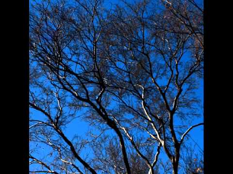 Kryon – The Creation Story – The Second Lemuria – Higher Density Blog