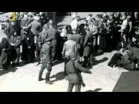 TESTIMONIO CONMOVEDOR DE UNA JUDIO SOBREVIVIENTE DEL HOLOCAUSTO – El ...