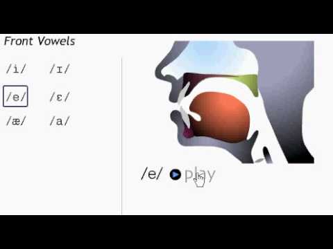 Vowel Sound Articulation – Phonetics – TEFL | brain-perks