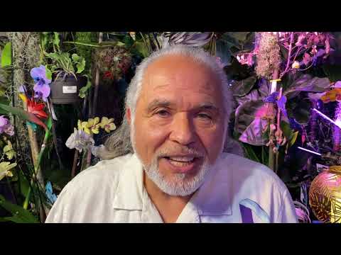 “Economist again” – KTFA Frank26 Video Update 12-11-25 | Dinar Chronicles