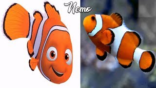 Finding Dory Characters in Real Life