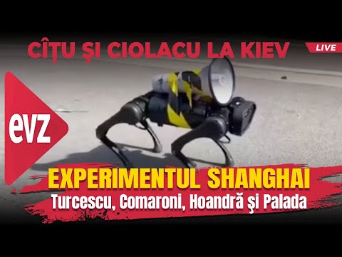 🌐 ȘTIRI-CĂLĂTOR PRIN LUMEA PLANETEI ALBASTRE: IMAGINI TRANSPARENTE