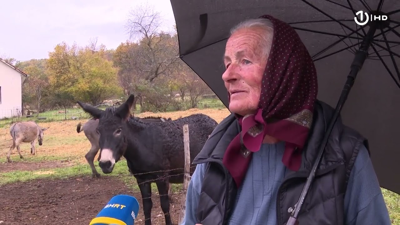 Jedina farma magaraca u istočnoj Hercegovini - Jabuka.tv