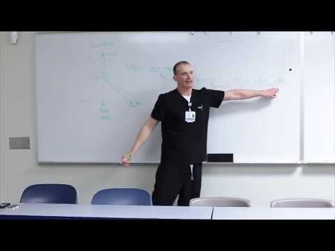 Dr. Haycock’s lectures – Code Team Pearls