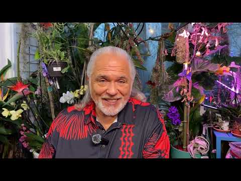 “Devalued Dinar” – KTFA Frank26 Video Update 12-15-25 | Dinar Chronicles