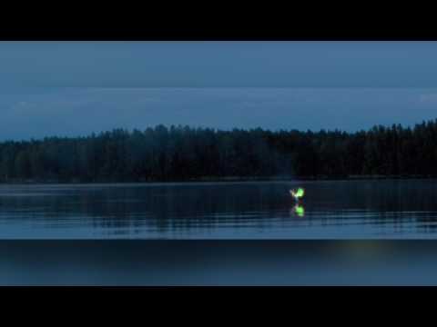 Mr. Nature: Marsh Lights – Lee Duigon