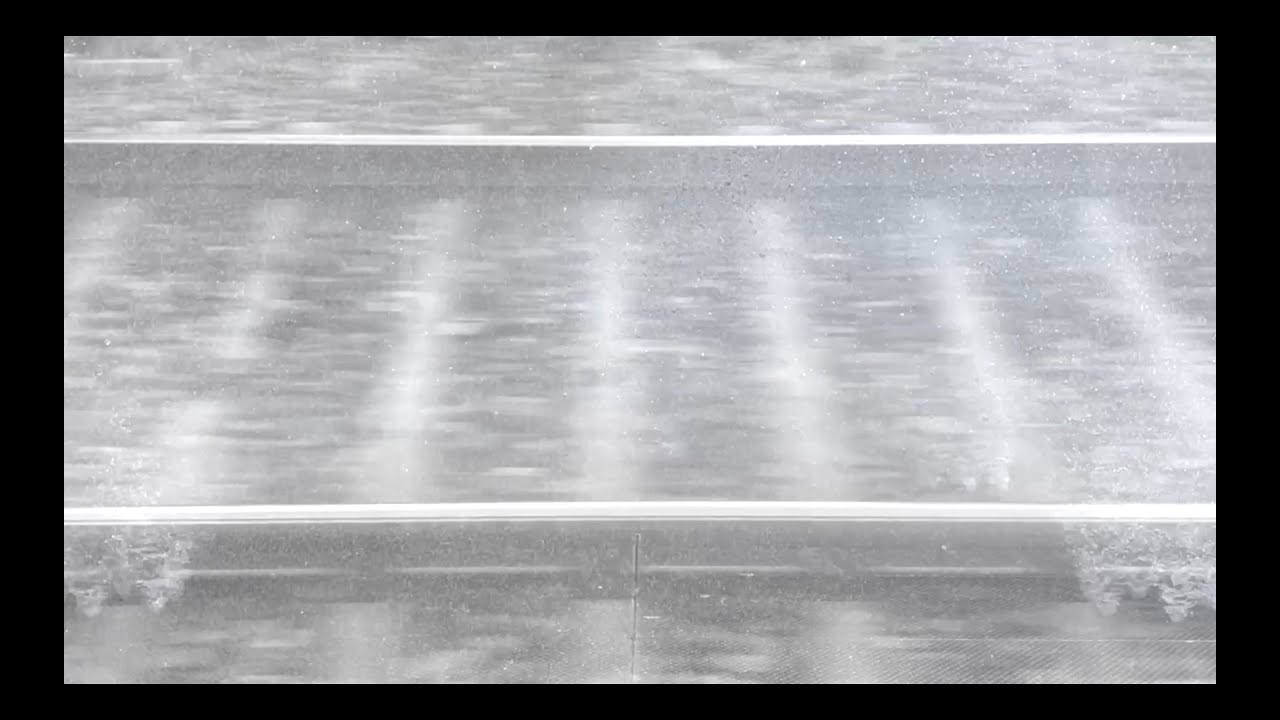 Inmersión - Tsonami Ediciones