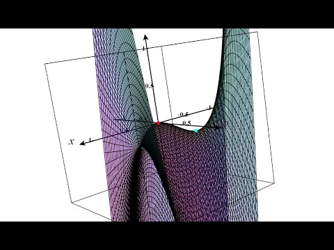 Determine Relative Extrema of a Function of Two Variables | Math Help from Arithmetic through ...