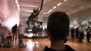 Dippy the Dinosaur (Belfast)