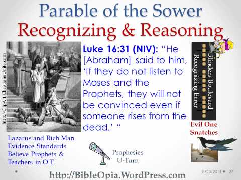 Parable of the Sower & Reapers Roadmap Video | BibleOpia Blog