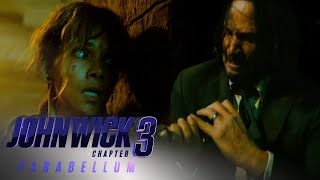 'The Dogs Attack' Scene | John Wick: Chapter 3 - Parabellum