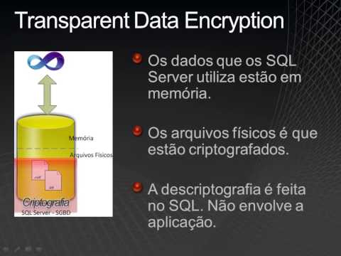 Criptografia de Dados Transparente | BLOG DO ZOUZA