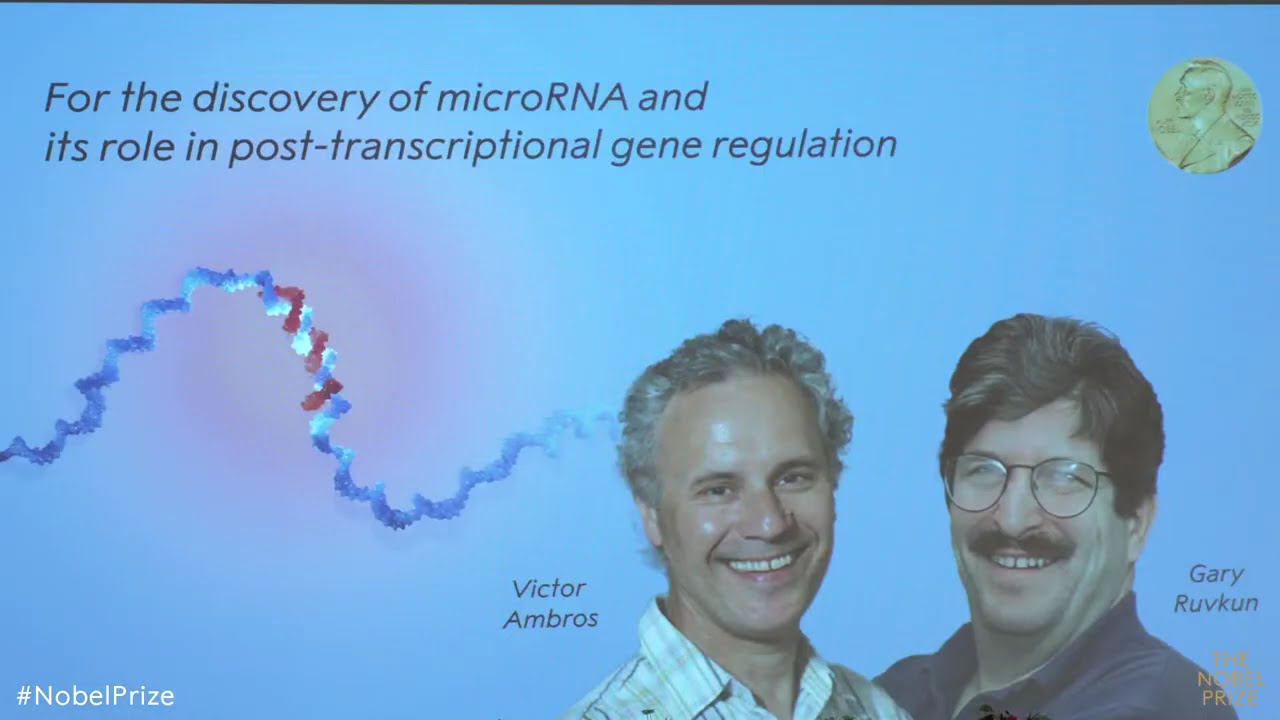 El premio Nobel de Medicina 2024 fue otorgado a los estadounidenses Victor Ambros y Gary Ruvkun ...