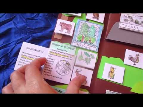 M4U & STK “I Biomi” Lapbook e Attività – my art diary 3