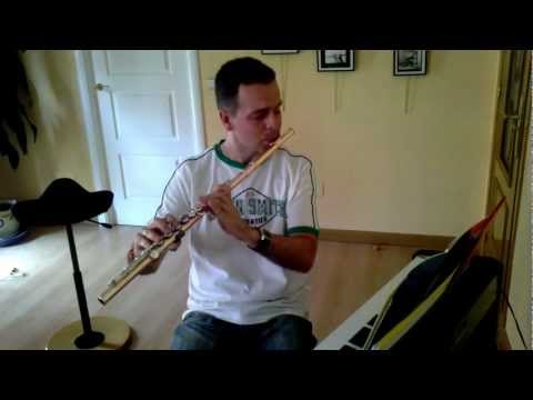 BRICO FLAUTA-DOBLE PICADO -BACH HD | Bricoflauta