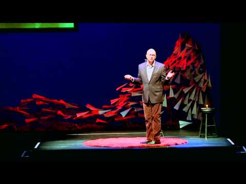 5 insightful TED talks on Honey Bees | apianon