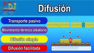DIFUSIÓN | Difusión simple | Difusión facilitada | Transporte celular pasivo