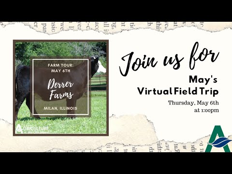 Virtual Farm Field Trip to Derrer Farms | Beyond the Barn Door