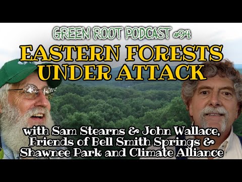 Green Root Podcast #94: EASTERN FORESTS UNDER ATTACK! – Eco-Integrity ...