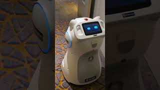 Getting Up Close and Personal With the Maldron Hotel Newcastle, Robot Cleaner
