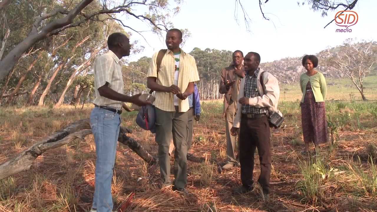 Manna Still Falls! | Lansing Adventist