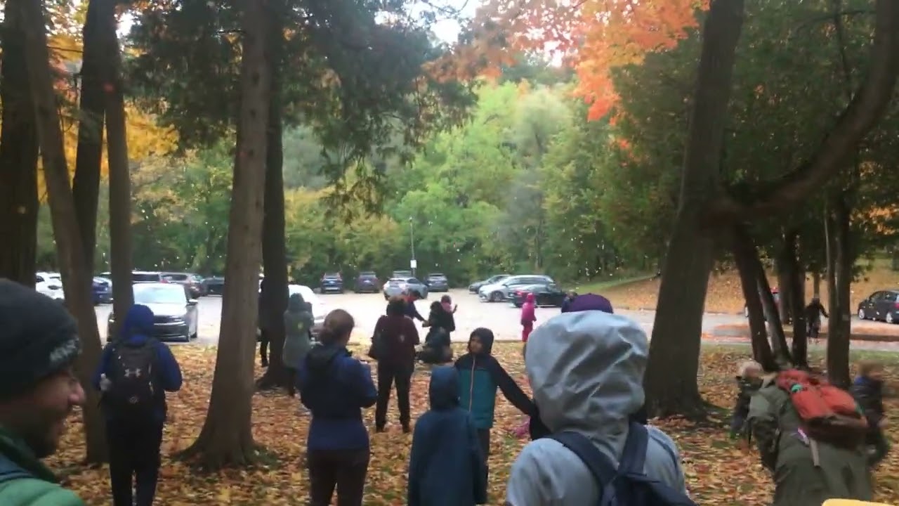TFN Juniors watch Salmon by Highland Creek – Toronto Field Naturalists