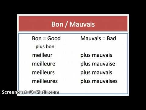 Comparative and Superlative of French Adjectives | vidavalencia