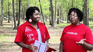 Tallahassee Alumnae Chapter of Delta Sigma Theta Sorority, Inc. - Red Elephant PSA