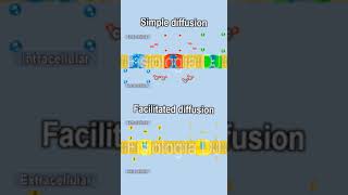 Simple diffusion vs facilitated diffusion | Facilitated diffusion vs simple diffusion