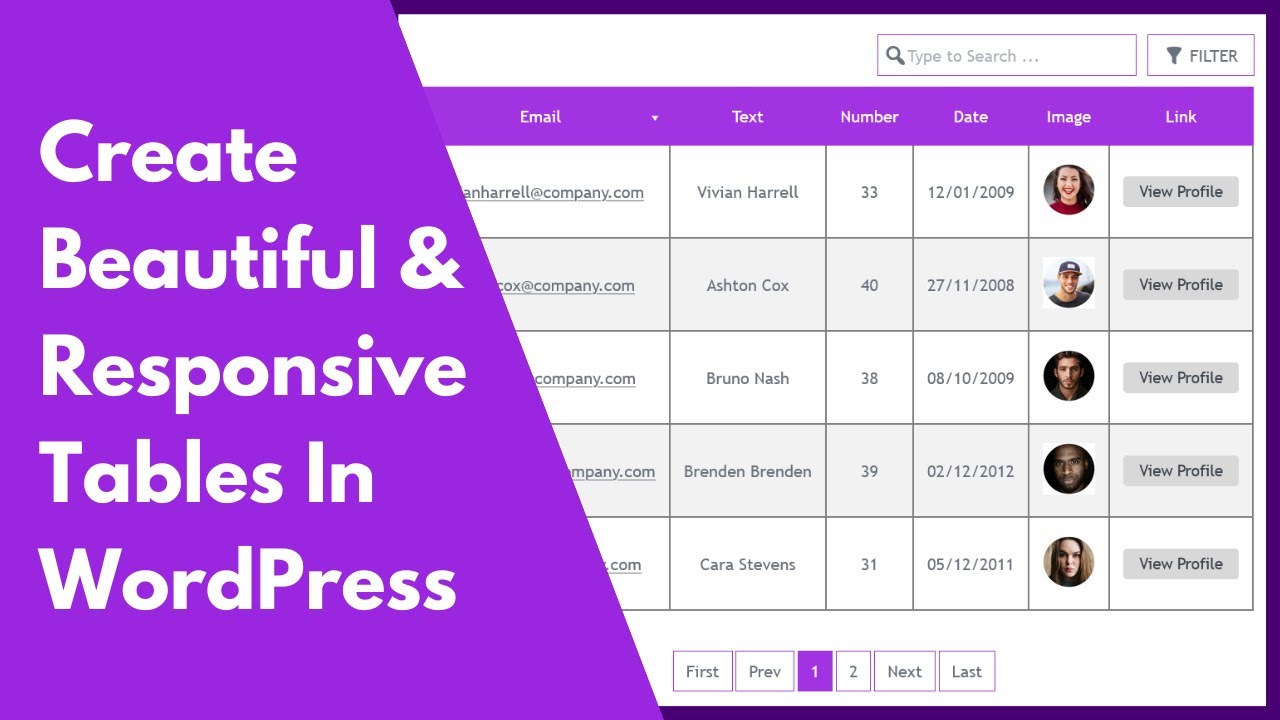 WordPress Table Plugin - Tablesome - Pauple Studios