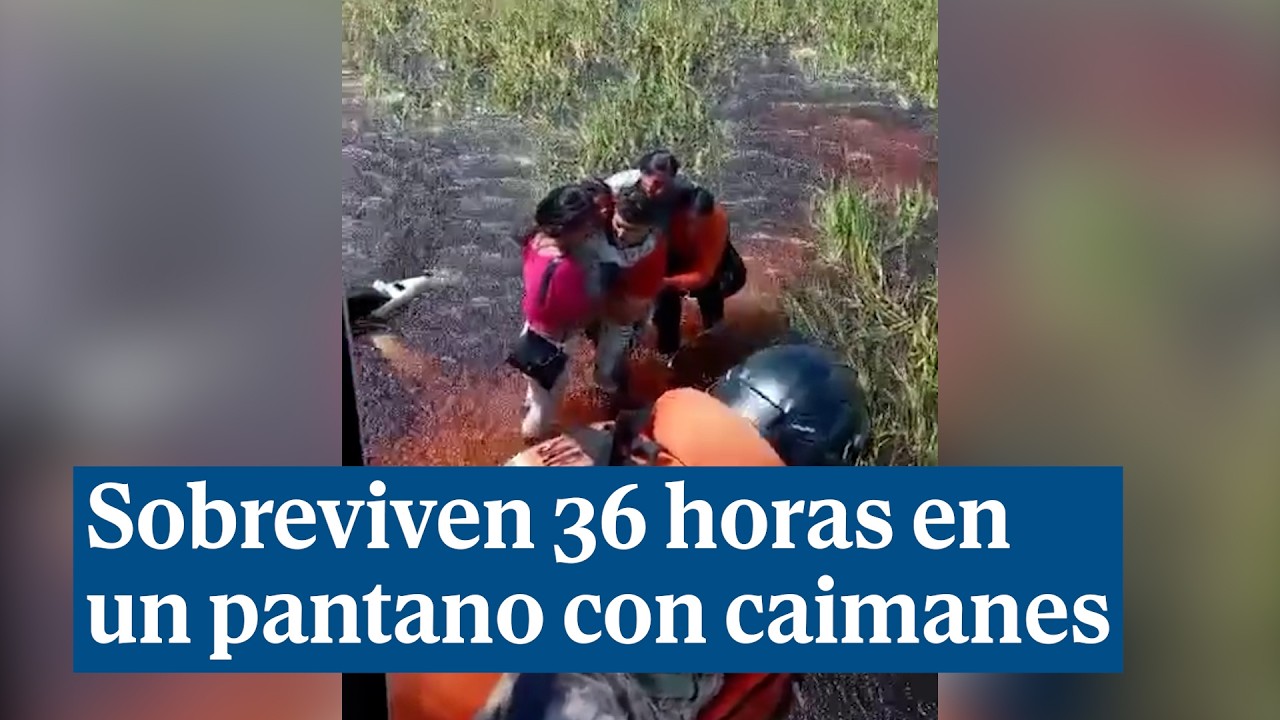 Video: Cinco personas sobreviven tras caer avioneta en un pantano con caimanes en Bolivia ...