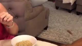 Cute Golden Retriever recreates the famous pasta scene from Lady and the Tramp