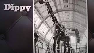 Ever wanted to see Dippy the Diplodocus?