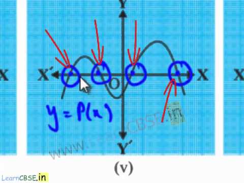 Find number of zeroes of a polynomial function – Merit Batch