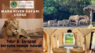 MARA RIVER SAFARI LODGE GIANYAR BALI REVIEW + SAFARI JOURNEY ???? ???? ???? ????