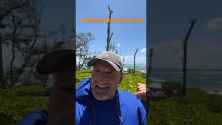 Best Camping Beach Oahu Hawaii #beachtour #oahuhawaii #hawaii #oahubeaches #beachcamping