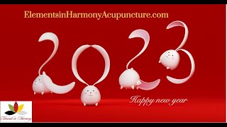 Happy Year of the Water Rabbit! 2023