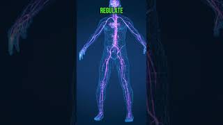 Exercise Blood Pressure #shorts