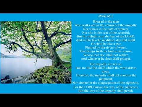 Psalm 1 Be Like A Tree Planted By The Rivers Of Water