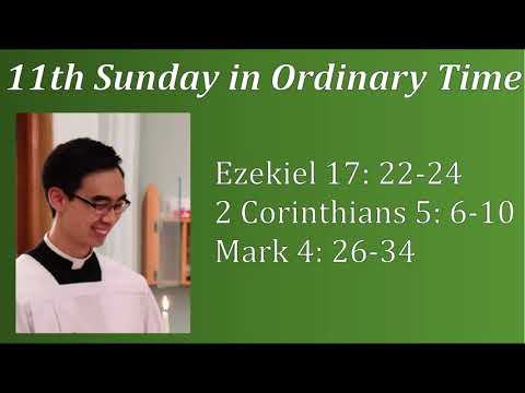 11th Sunday in Ordinary Time Bulletin & Homily – St. Francis of Assisi Parish