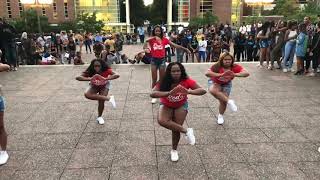 Alpha Nu | BGC Yard Show Fall 2018