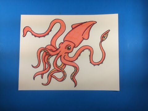 Squid Drawing Step by Step Tutorial – I'm Youtuber – Follow my videos ...