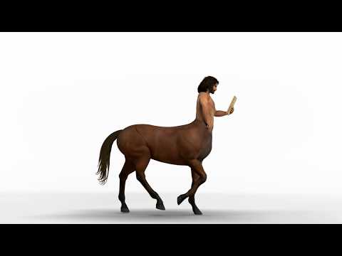 Serious Centaur Animation: Centaur Trust | Centaurica