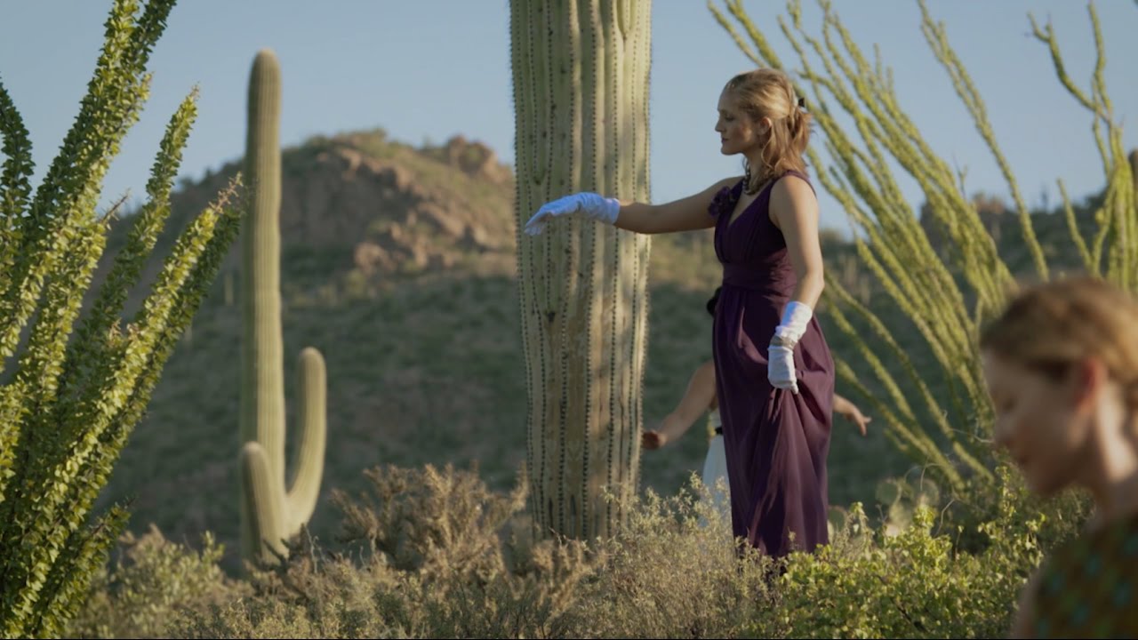 Standing With Saguaros - Kimi Eisele